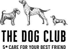 Meet The Team - The Dog Club Maldon